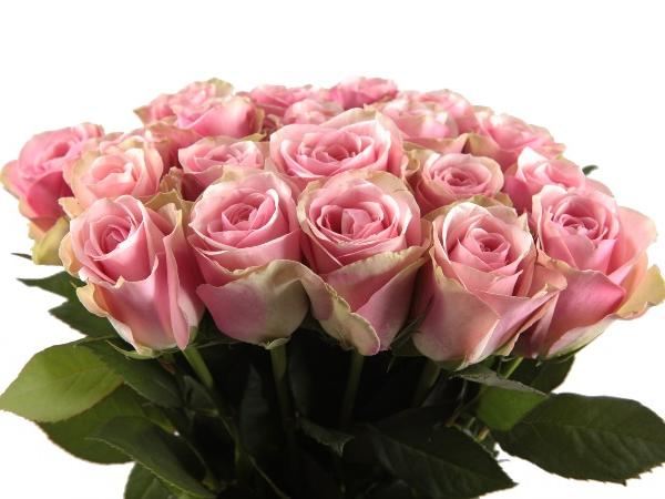 Kukkakauppa Kukkivat - Kausituotteet - Kotimainen Ruusukimppu ...